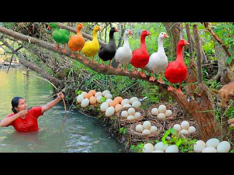 Women Hunting Goose egg at river - Cooking soup Goose egg for dog Eating delicious 4K