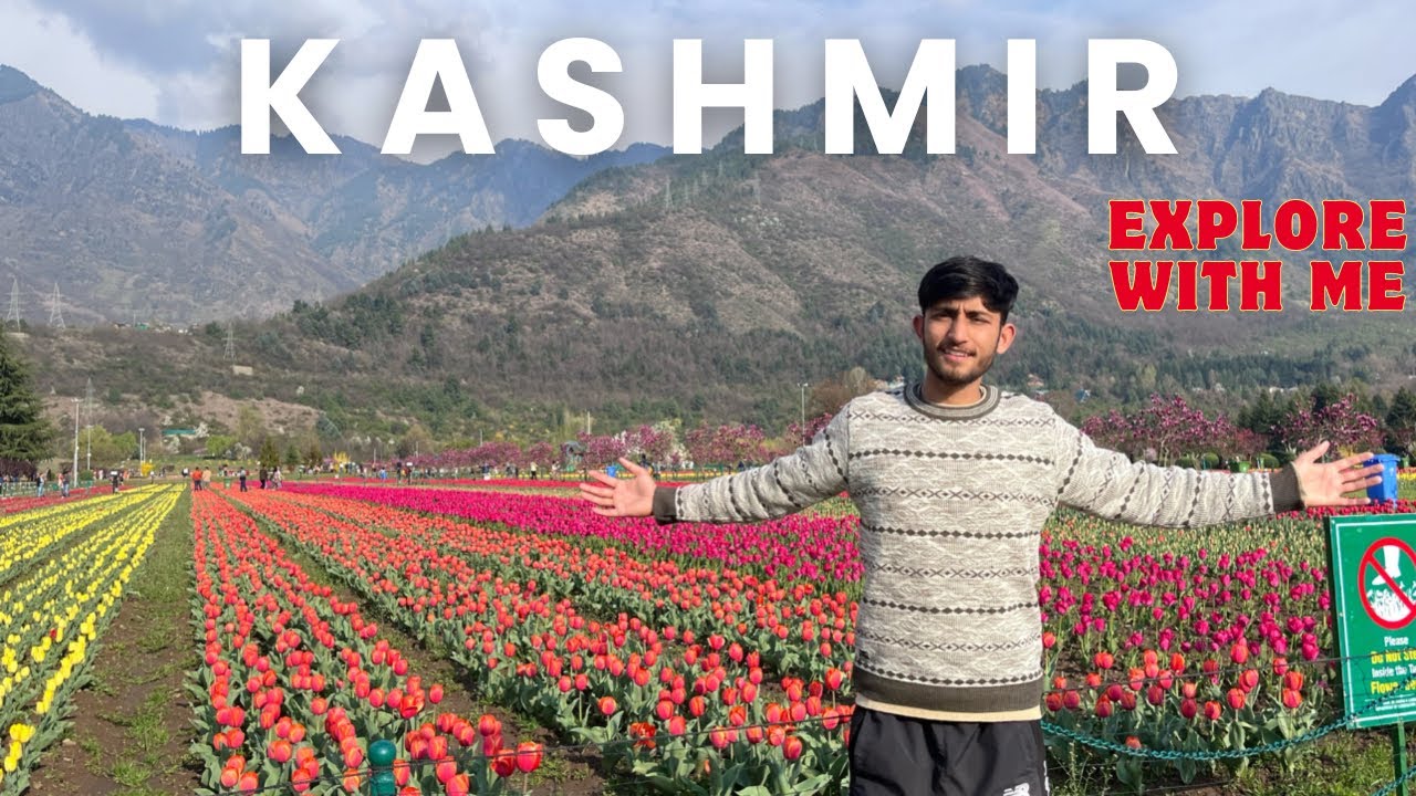 TULIP GARDEN KASHMIR 💐 | Best Place To Visit In Kashmir | 5000 Types of ...