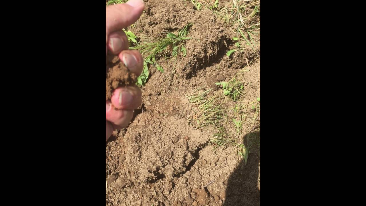 Tons of High Quality Dirt being Brought in for the New Track! - YouTube