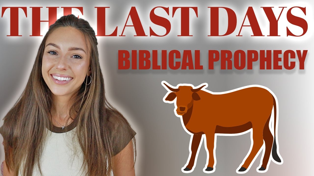 Red Heifers : EVERYTHING You Need To Know - YouTube