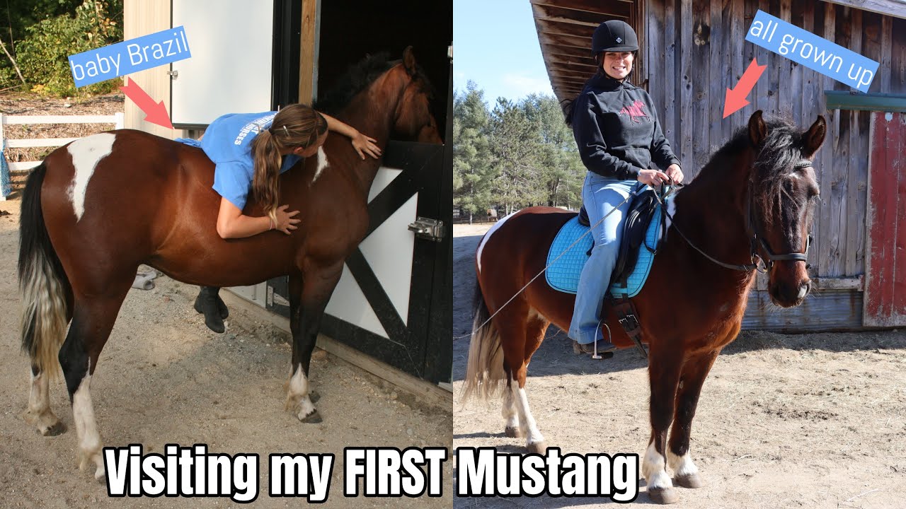 Visiting my FIRST Mustang! - YouTube