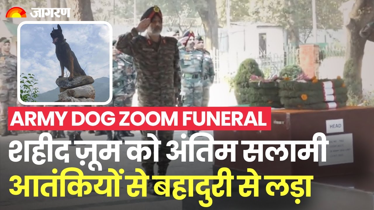 Army dog Funeral: Tribute paid with moist eyes, Zoom continued to fight ...