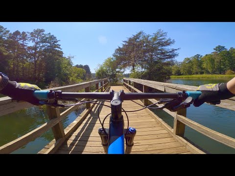 Perfect Pine Forest | Mountain Biking at Tyler State Park (Tyler, TX ...