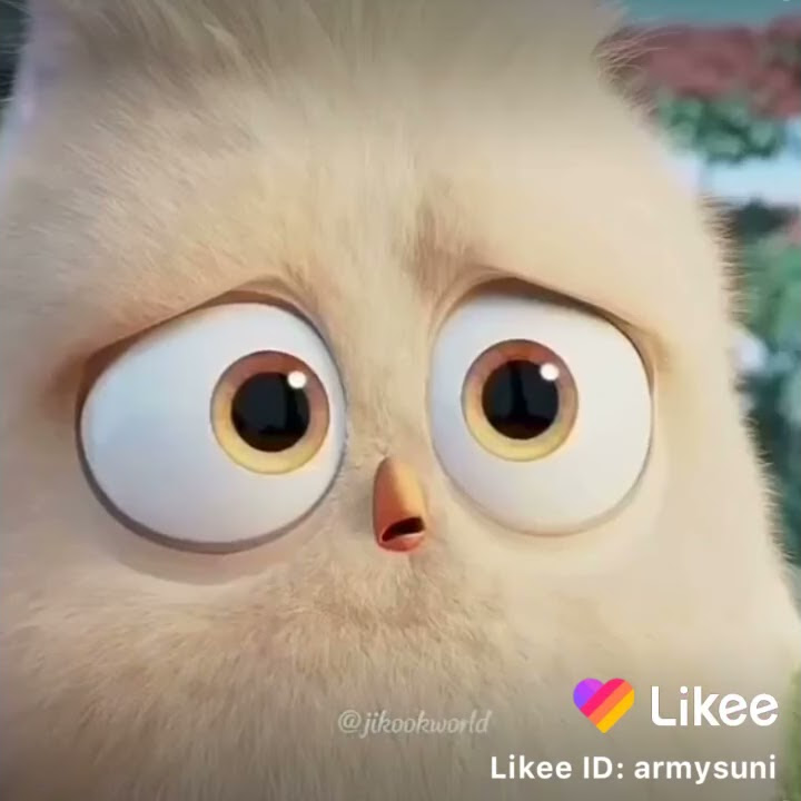 el pajarito y el gusano - YouTube