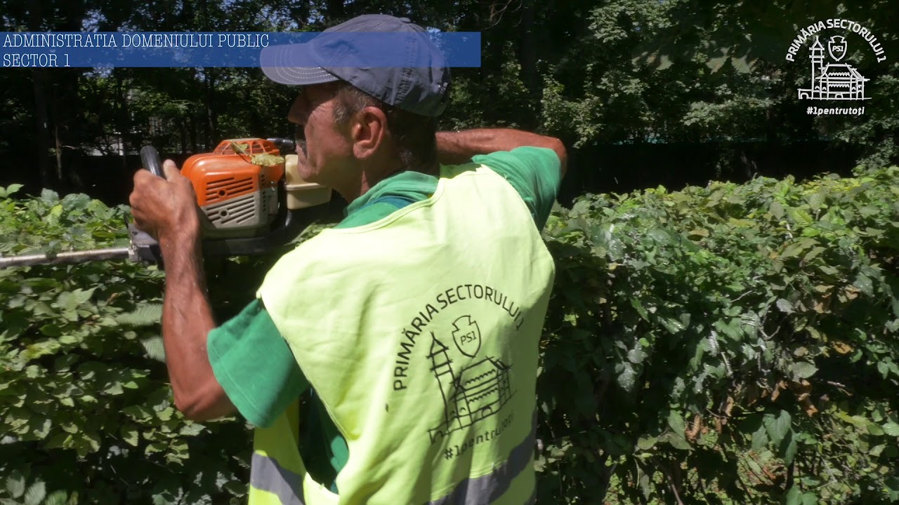 ADP Sector 1 - Procedura de toaletare a gardului viu - YouTube