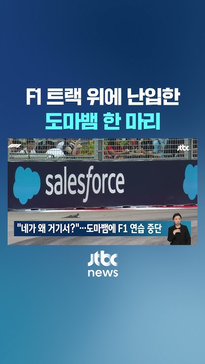 "네가 왜 거기서?" 펄쩍…도마뱀에 F1 연습 중단 #JTBC #Shorts - YouTube