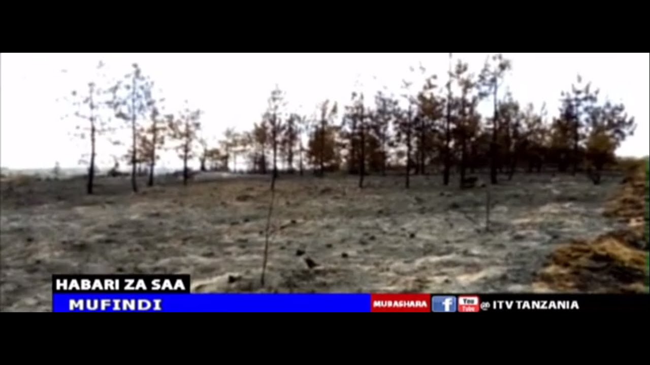 Hekta 170 za msitu wa miti Sao Hill zateketea kwa moto. - YouTube