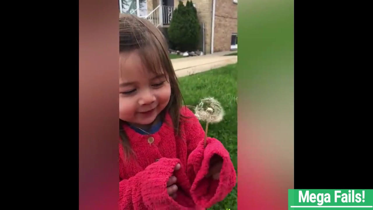 Mega Fails! TRY NOT TO LAUGH Funny Animals Video 2019 life is amazing ...