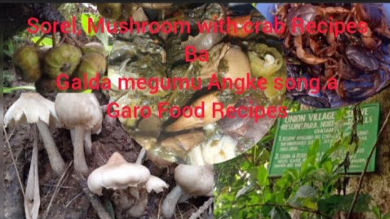 Sorel, Mushroom with Crab || Galda, megumu Angke song.a || Garo Food ...