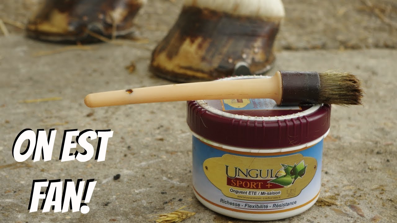 REVUE⎟ Les produits Ungula Naturalis 🌿 - YouTube