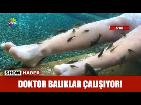 Doktor balıklar çalışıyor!