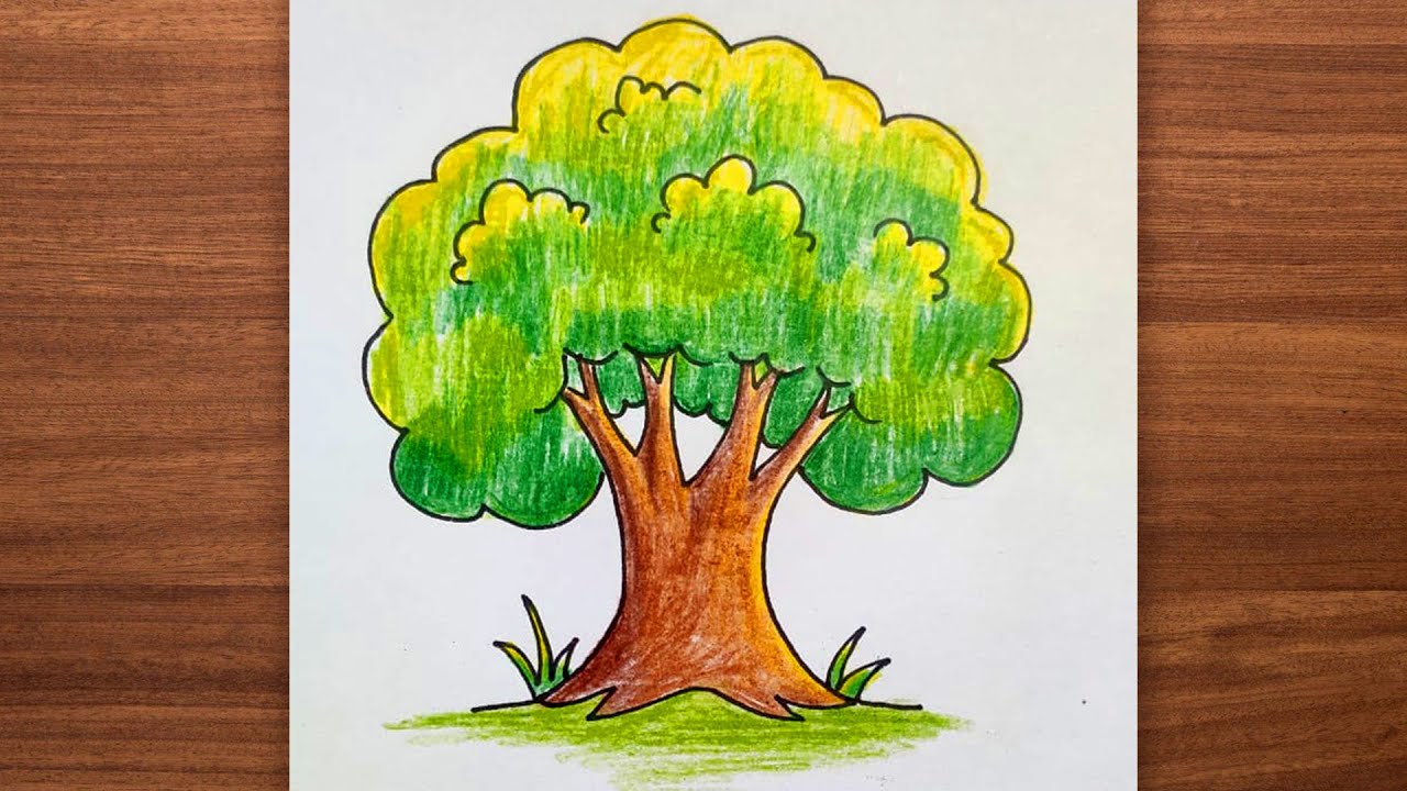 How To Draw Tree ll How To Draw Tree Easy ll Tree Kaise Draw Karen ll ...