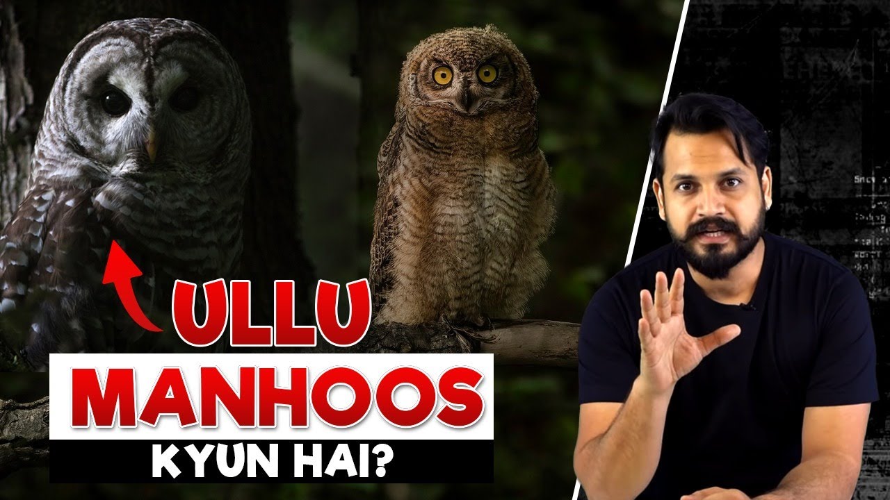 Ullu Manhoos Kyun Hai Azlan Shah Youtube