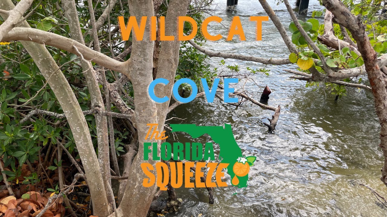 Wildcat Cove - YouTube