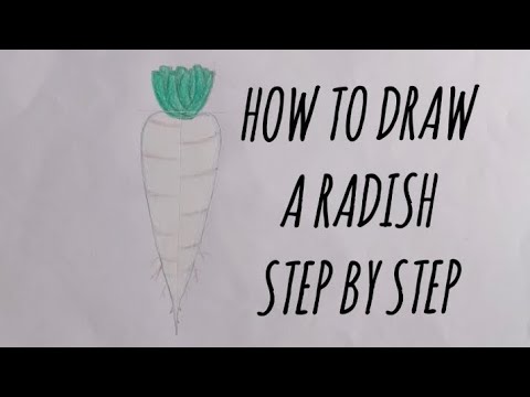 How to draw a radish step by step (very easy)|| art video - YouTube