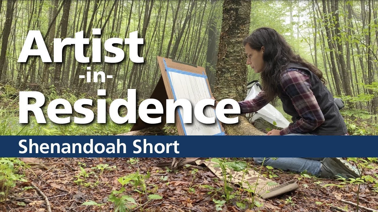 Book Arts, Hemlocks and Place Based Connections - YouTube