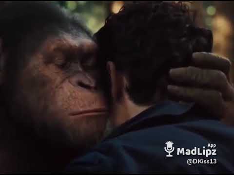 La mort ou la tchétché 😂🤣