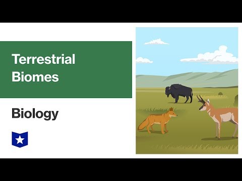 What Is The Difference Between Biosphere And Ecosystem Course Hero