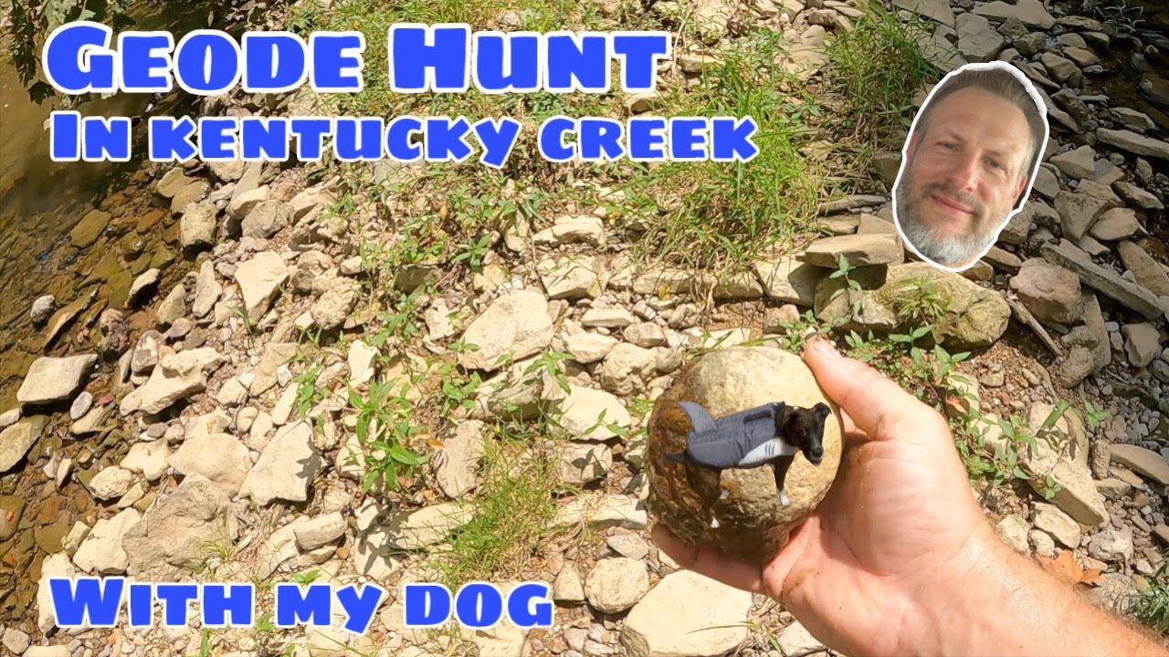 Summer Geode Hunt with My Dog #kentucky #geodes #creeklife - YouTube