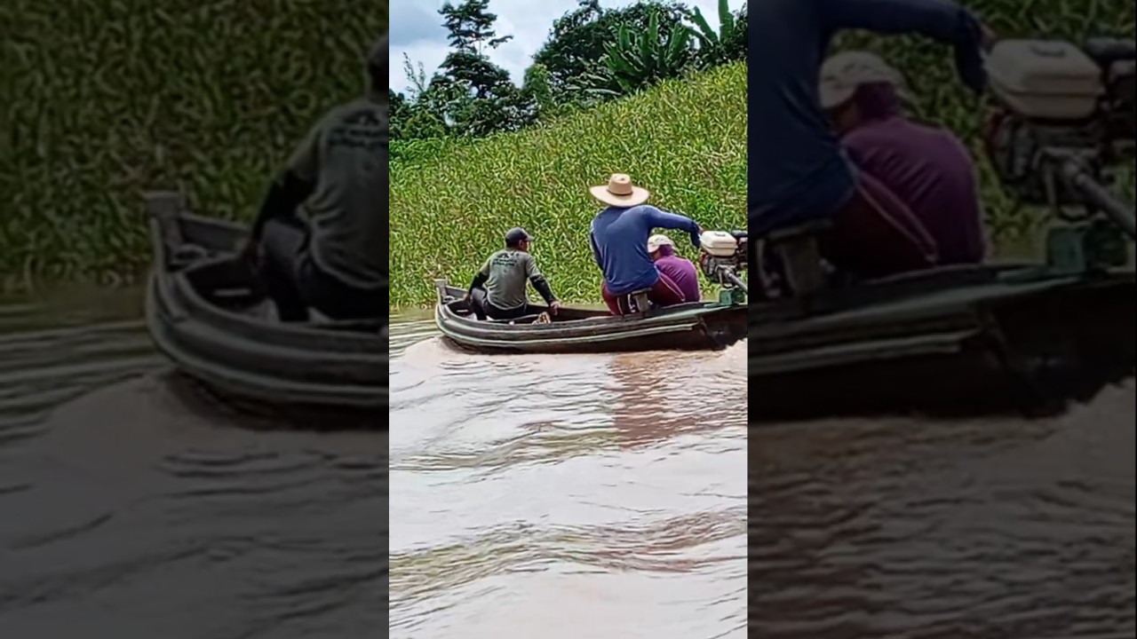 Viagem no rio Purus Amazonas - YouTube