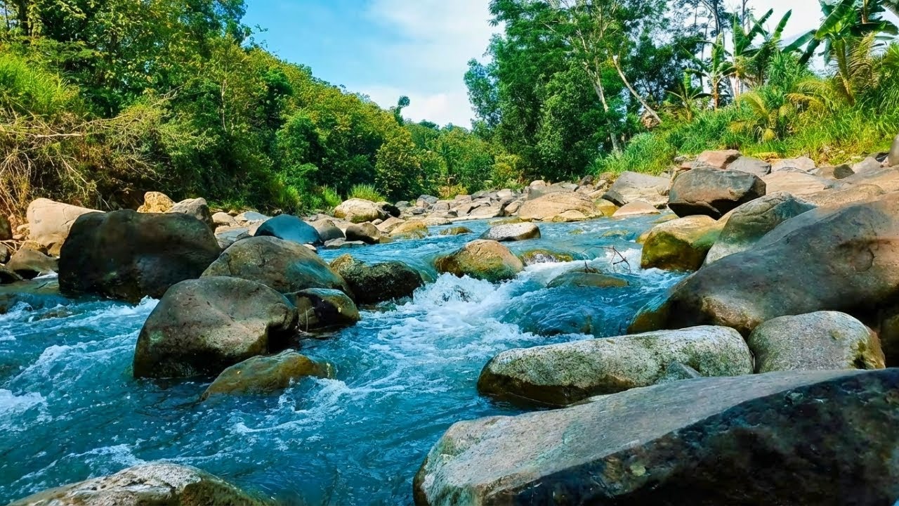 Water and Nature Sounds for Sleep Gentle Water & Wilderness Ambience ...