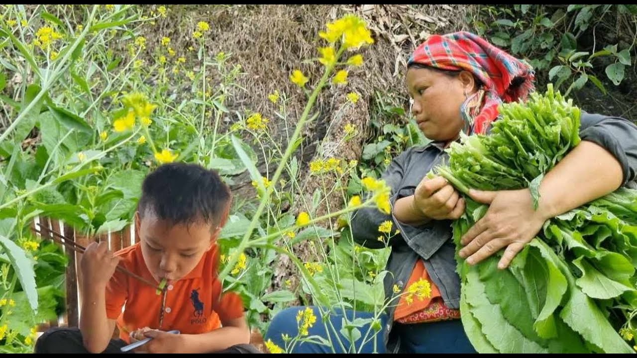 Pick vegetables to take home and make pickled vegetables, cook some to ...