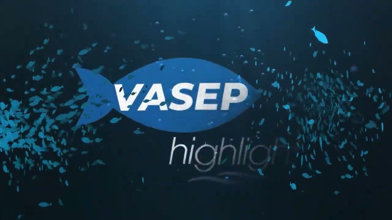 VASEP Highlight - T7/2022: hai tin vui tháng 7 cho doanh nghiệp thuỷ ...