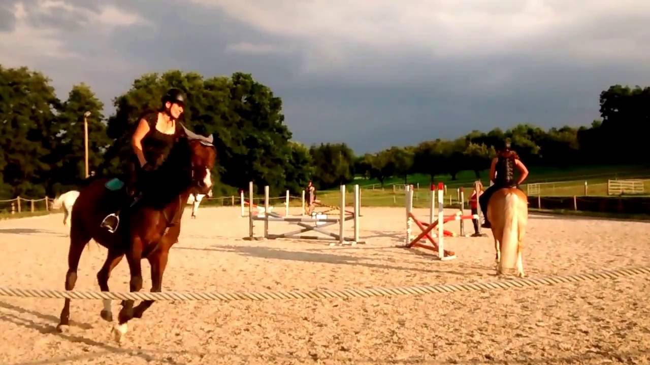 Springreiten auf Tennessy mit Sturz ;) - YouTube