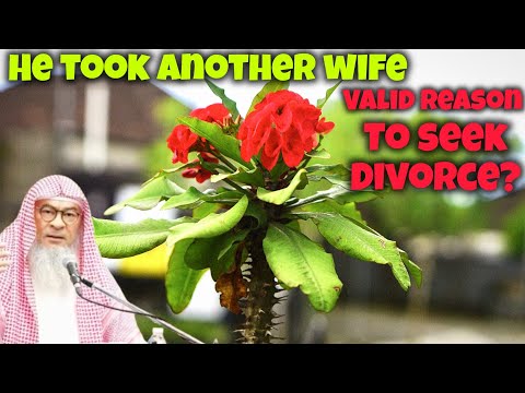 If her husband takes a second wife is it a valid reason to ask for divorce / khula? assim al hakeem
