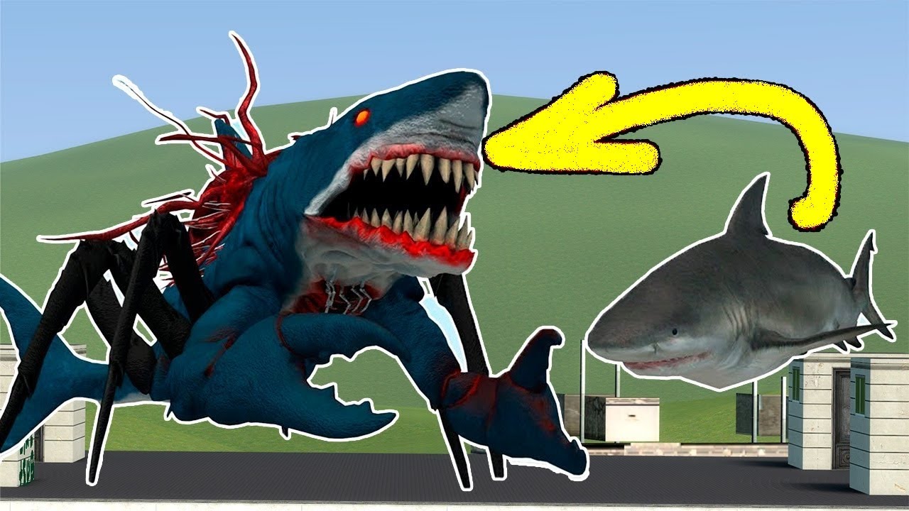 NEWEST ZOOCHOSIS MUTANT SHARK in Gmod! - YouTube