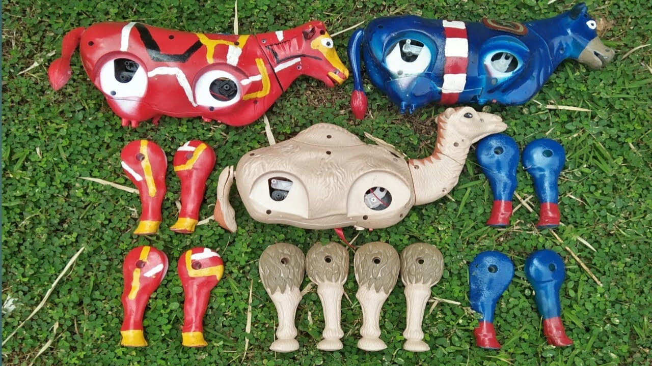 Mencari sapi moo, panda, kingkong, monyet, onta sapi lucu, sapi warna ...