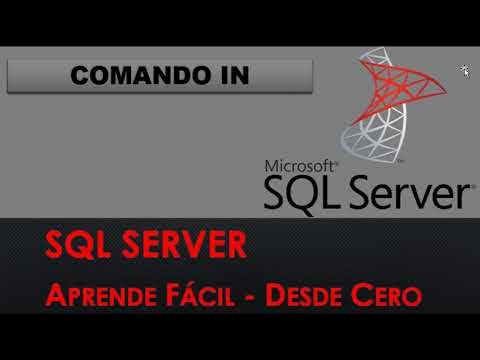 OPERADOR IN en SQL SERVER Curso SQL Server 2022 2023 - MYSQL - YouTube