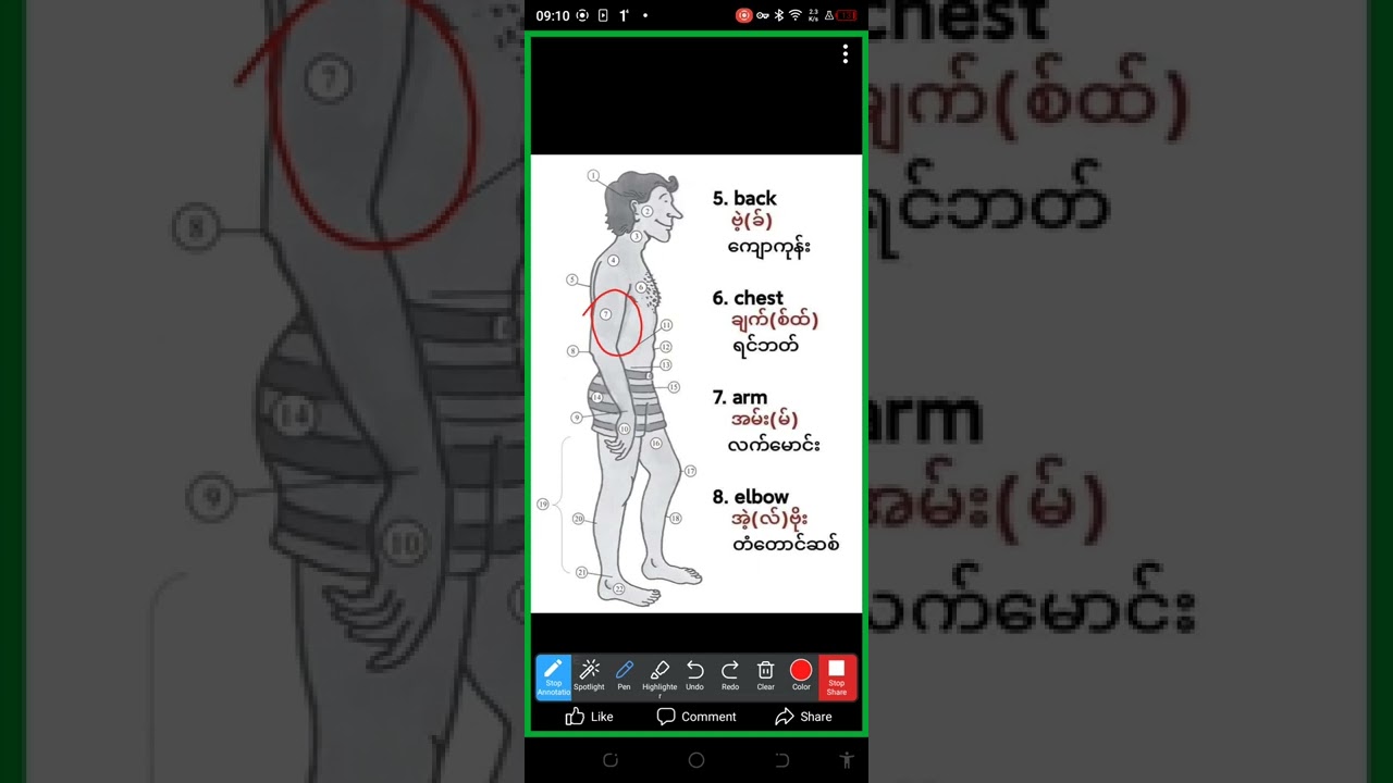 Human body parts လူခန္ဓာကိုယ်အစိတ်အပိုင်း လေ့လာလိုက်ရအောင်ခင်ဗျ။ 🙋 ...
