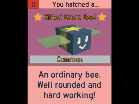 How many Basic Egg until I get a Gifted Basic Bee - YouTube