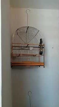 APATA PICOLET - YouTube