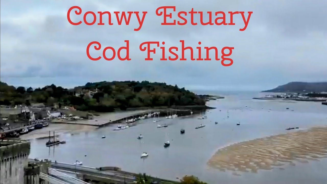 Conwy Estuary Cod Fishing/ uk sea fishing - YouTube