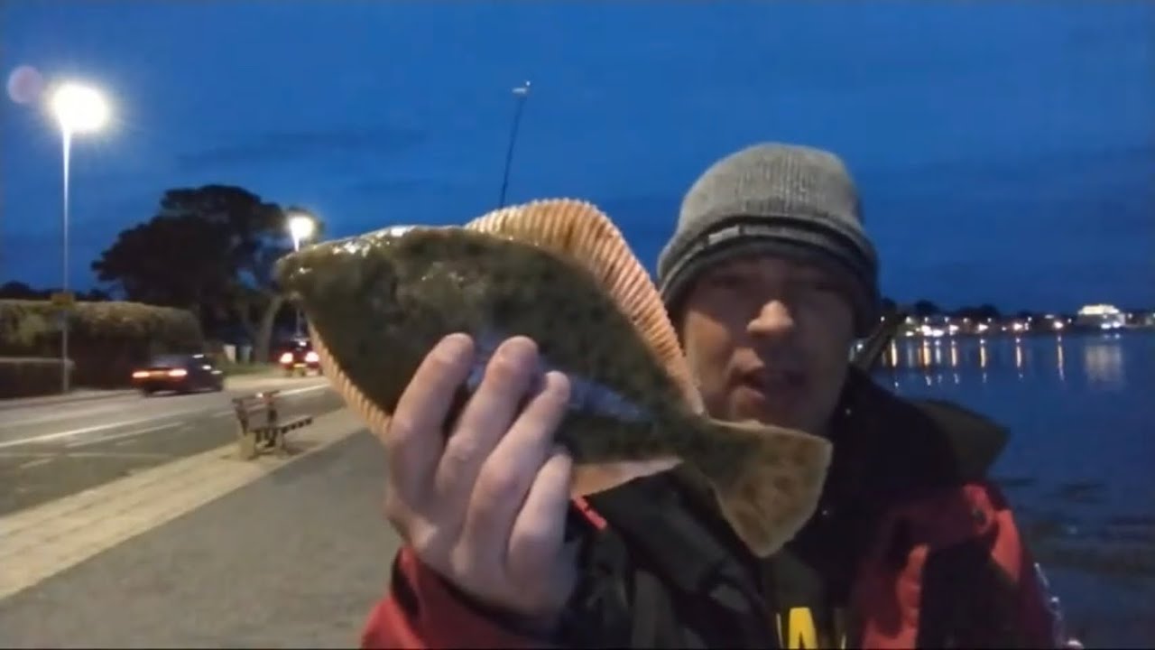 PLAICE AND FLOUNDER FISHING FROM THE SHORE USING RAGWORM - POOLE ...