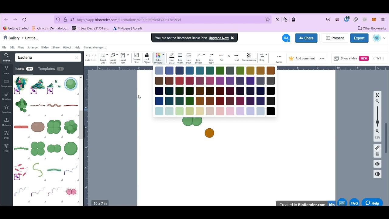 Biorender, illustration, sharing and exporting - YouTube