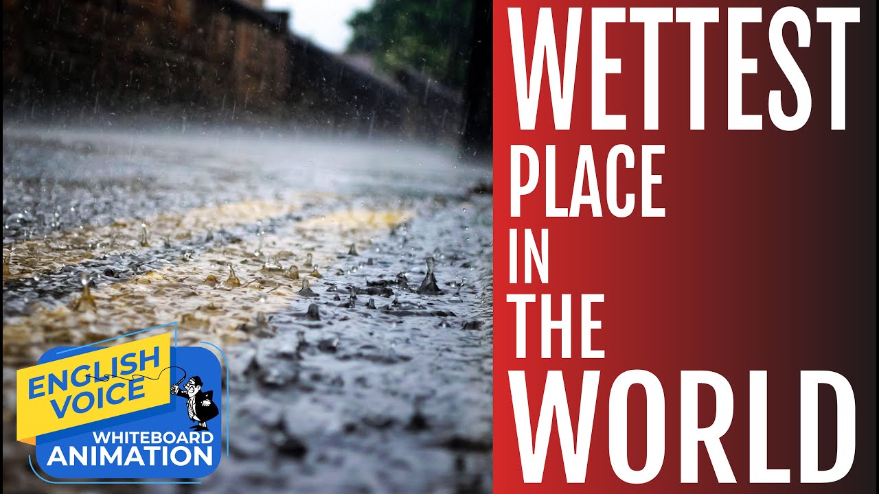 What is the wettest place on earth?Why Cherrapunji and Mawsynram are ...