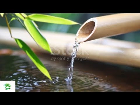 30 Minute | Bamboo Water Fountain and relaxing music 4K @nature ...