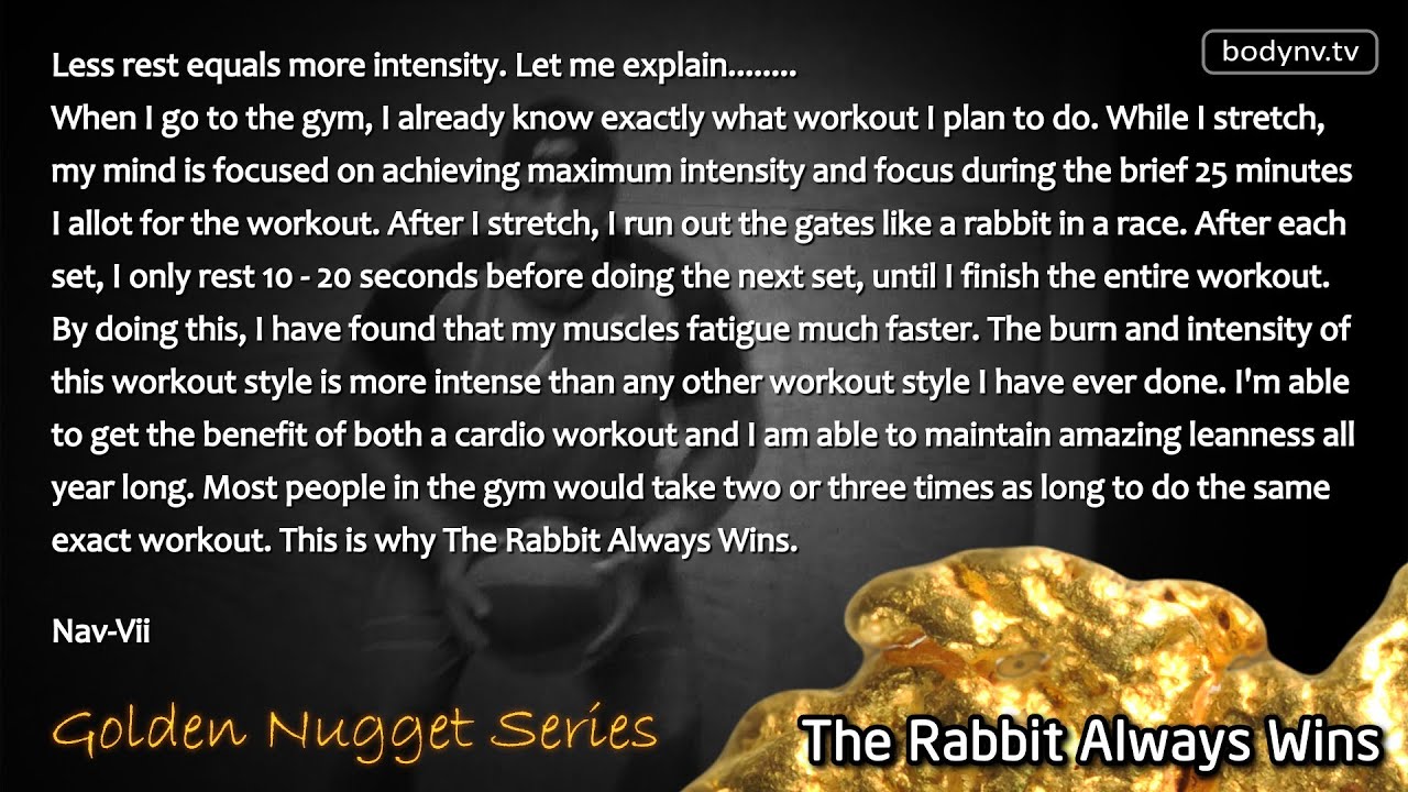 The Rabbit Always Wins - Motivational Quotes - Fitness Advice - Golden ...