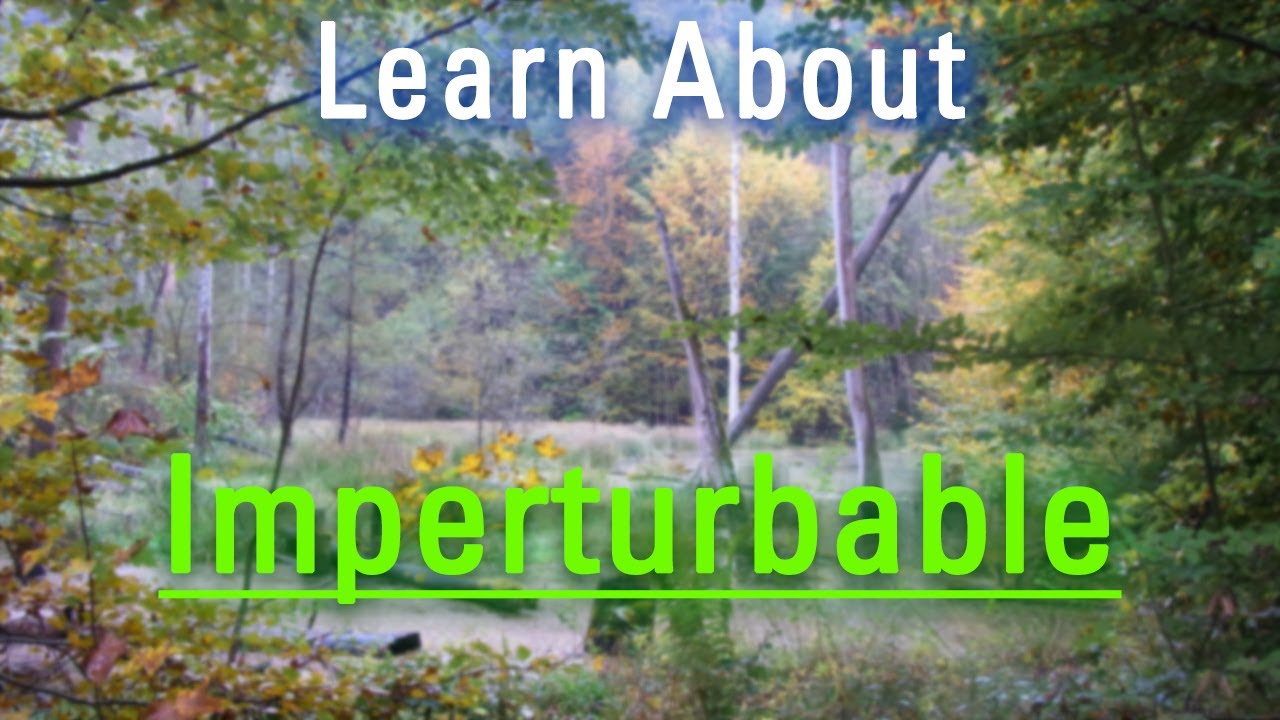 What is Imperturbable? | How Does Imperturbable Look? | How to Say ...