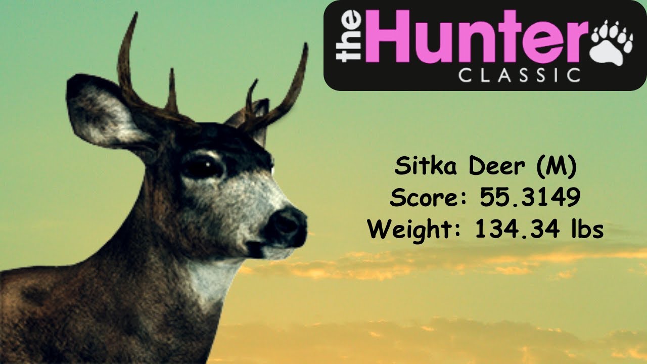 The Hunter Classic | Male Sitka Deer Gameplay | Score 55.3149 - YouTube
