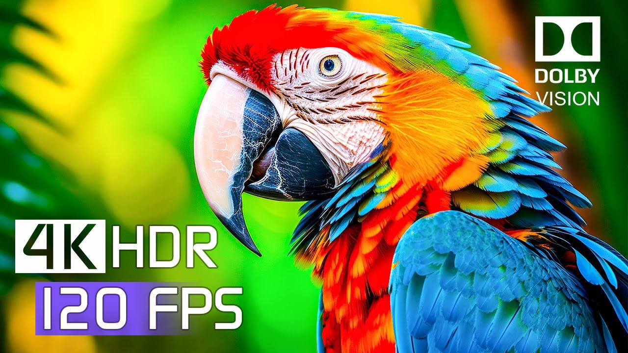 BEST 4K HDR Video ULTRA HD 120FPS - Dolby Vision - YouTube