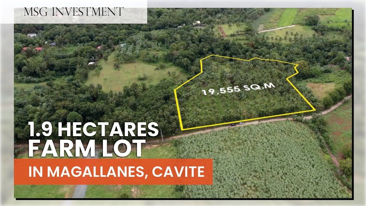 1.9 HECTARES FARM LOT in Magallanes, Cavite - YouTube