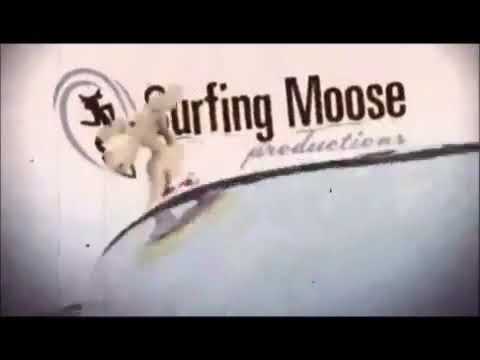 Surfing Moose Productions Logo (2000) - YouTube