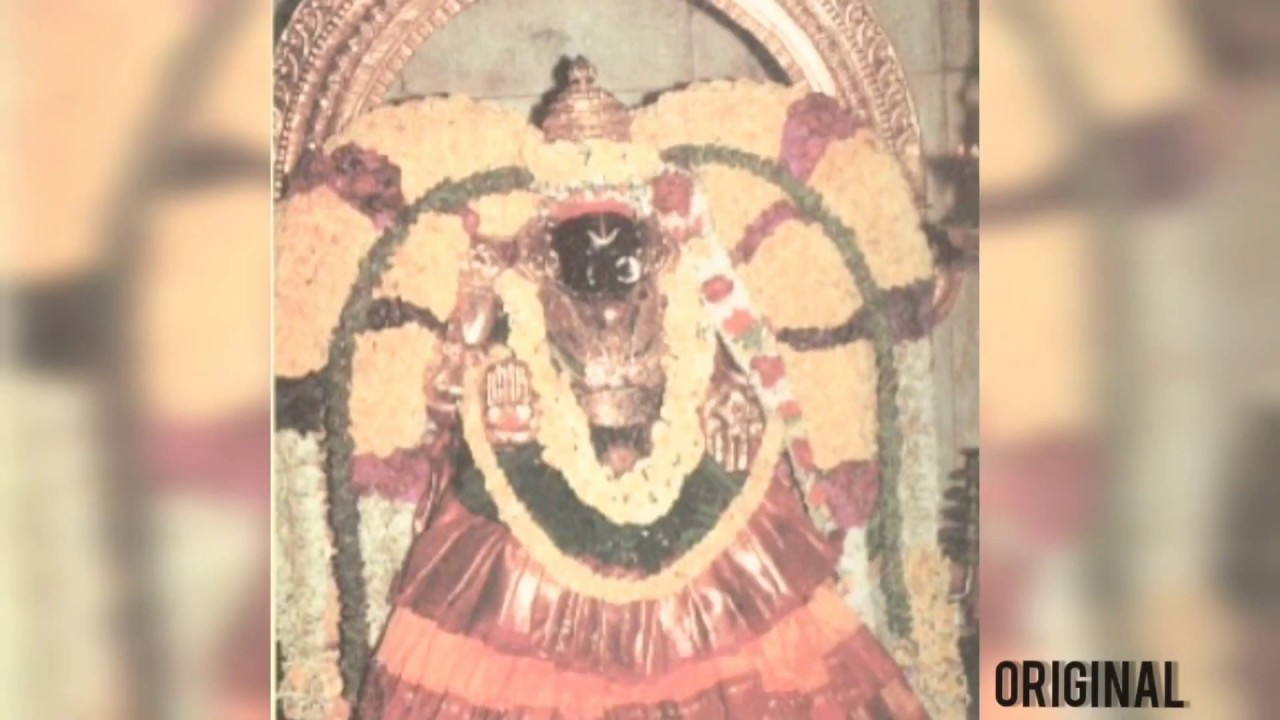 INSIDE TEMPLE - TIRUCHANOOR - YouTube