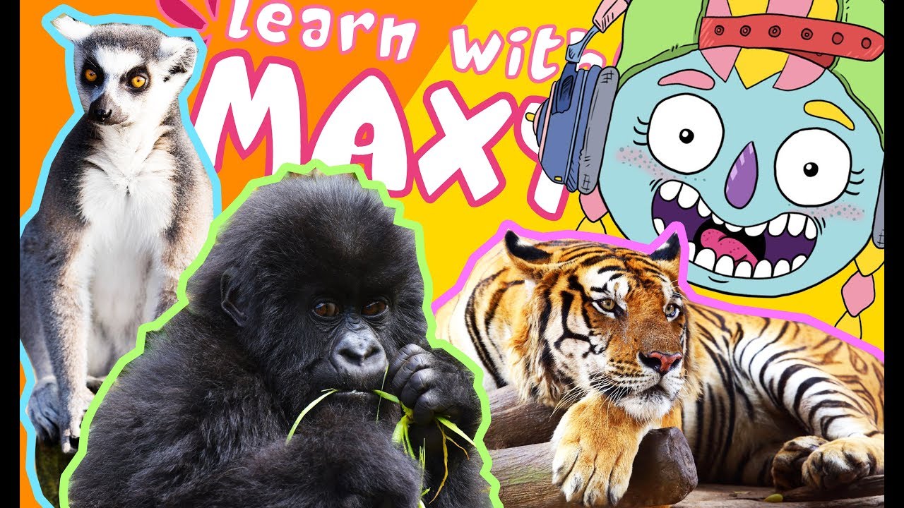 Learn About Jungle Animals Animals Fun Facts For Children And Toddlers YouTube learn-about-jungle-animals-animals-fun-facts-for-children-and-toddlers-youtube