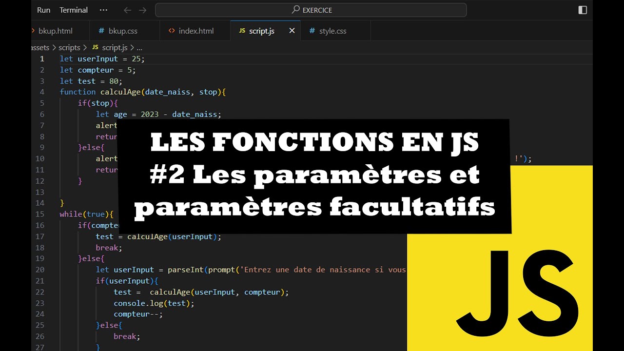 #6 Les paramètres et les paramètres facultatifs en JavaScript | Cours ...