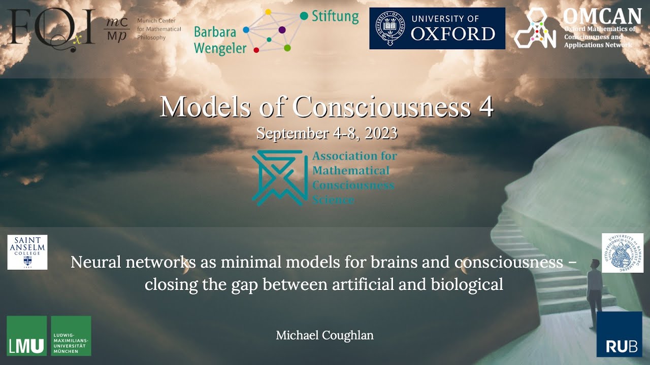 Michael Coughlan - Neural networks as minimal models for brains and ...